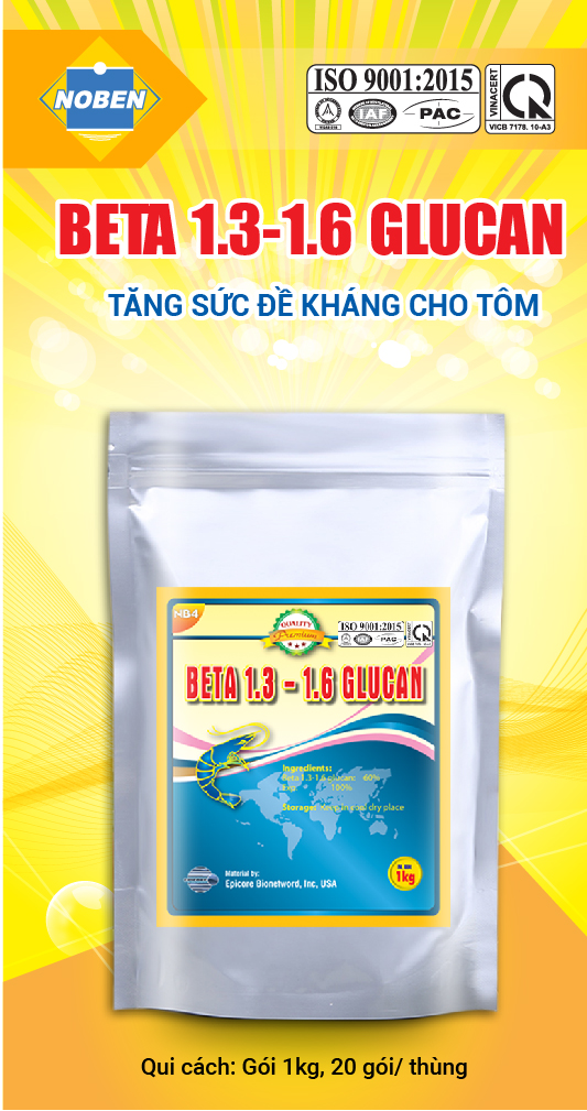 BETA 1 3 1 6 GLUCAN